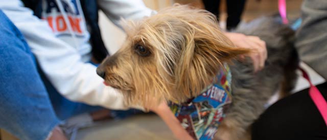 Animal Behavior Ranked No. 8 | Carroll University