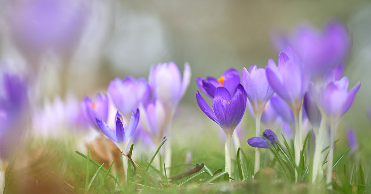 Call to Prayer | Carroll University