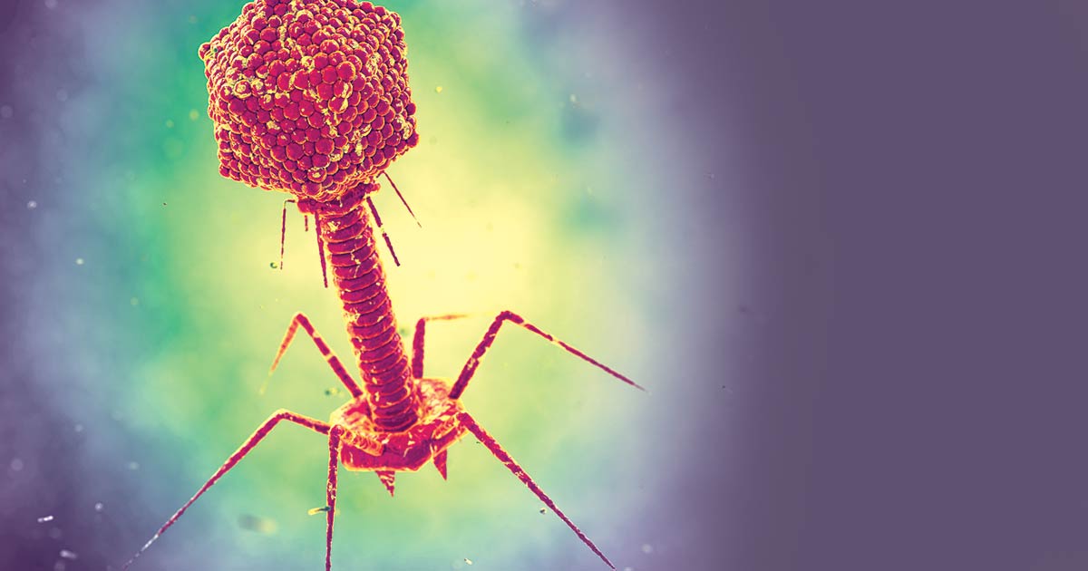 Articles | Carroll University